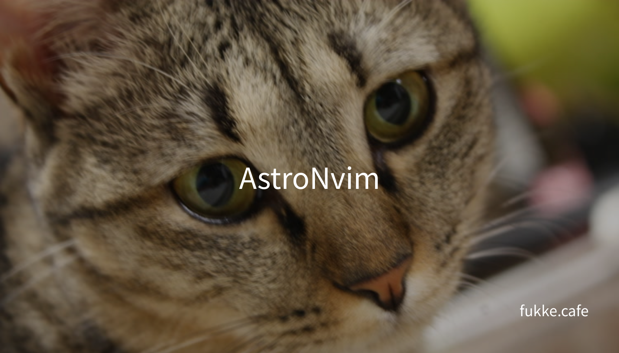 AstroNvim